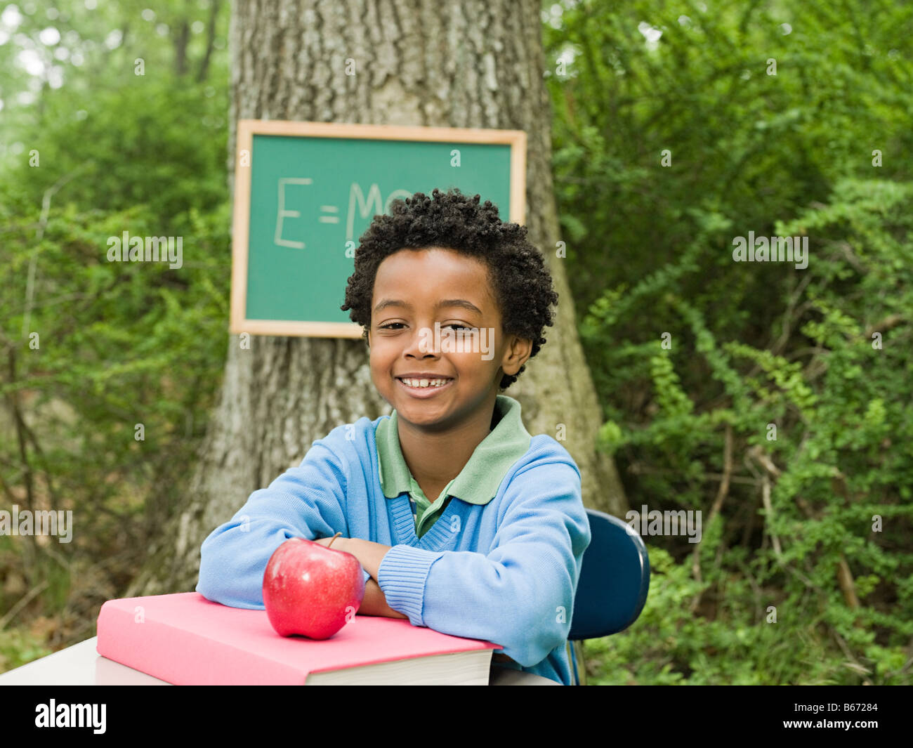 Portrait of a boy sat at a desk in a forest Stock Photo - Alamy