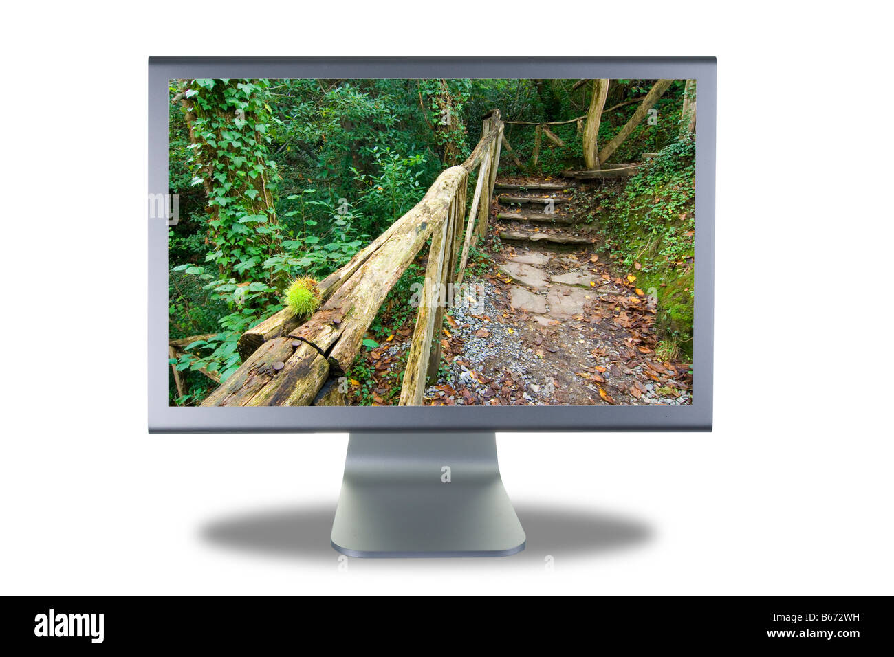 computer lcd or tft monitor with flat screen Stock Photo - Alamy