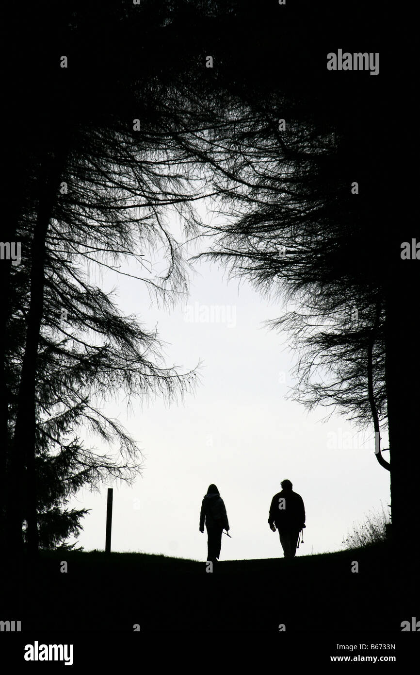 Out of the forest Stock Photo - Alamy