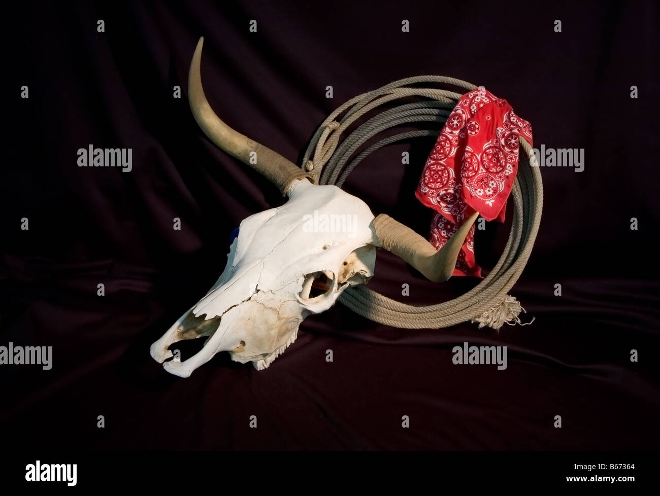 A bleached steer skull with horns coiled rope bandana and cowboy hat on ...