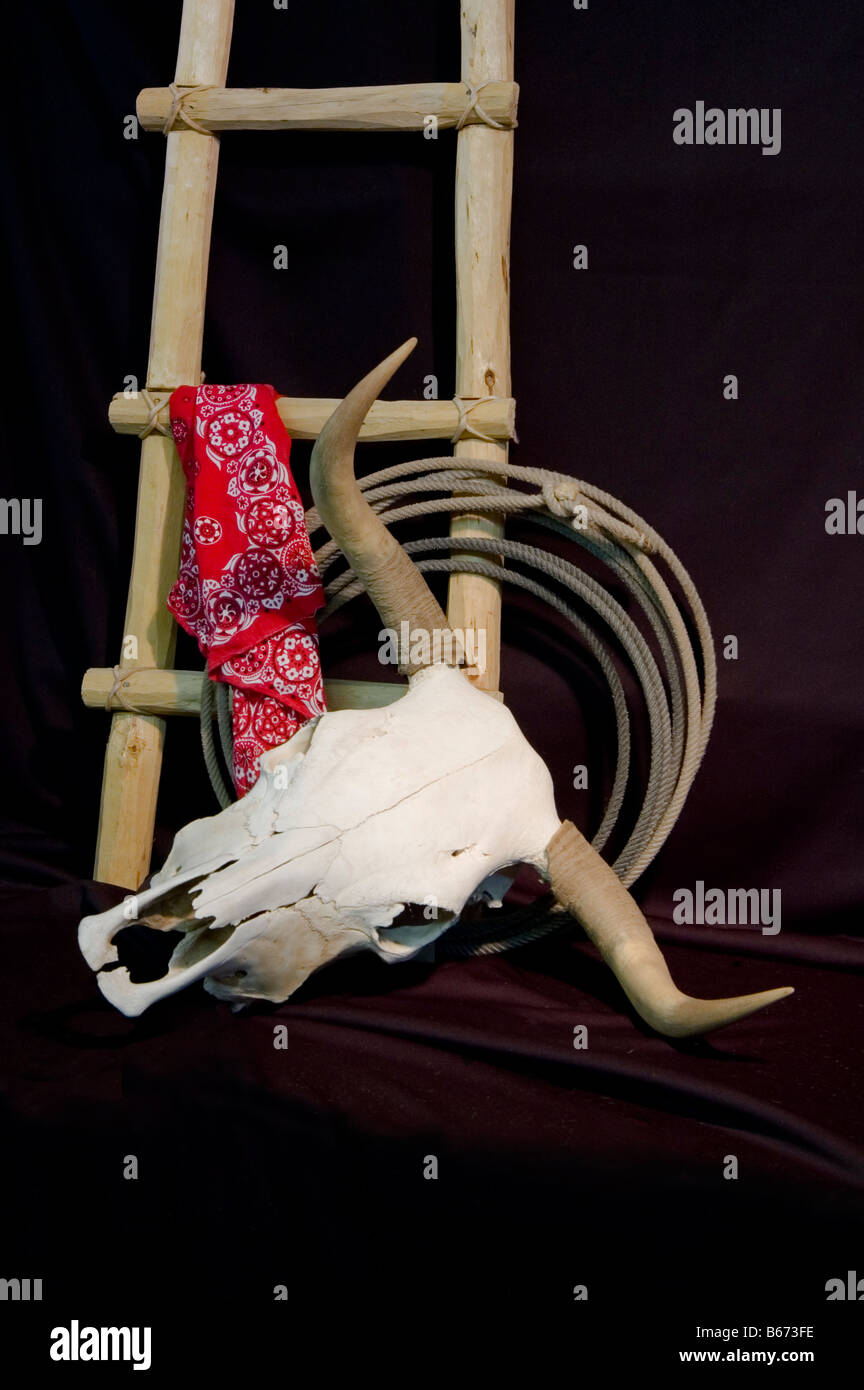 A bleached steer skull with horns coiled rope ladder and bandana on a ...