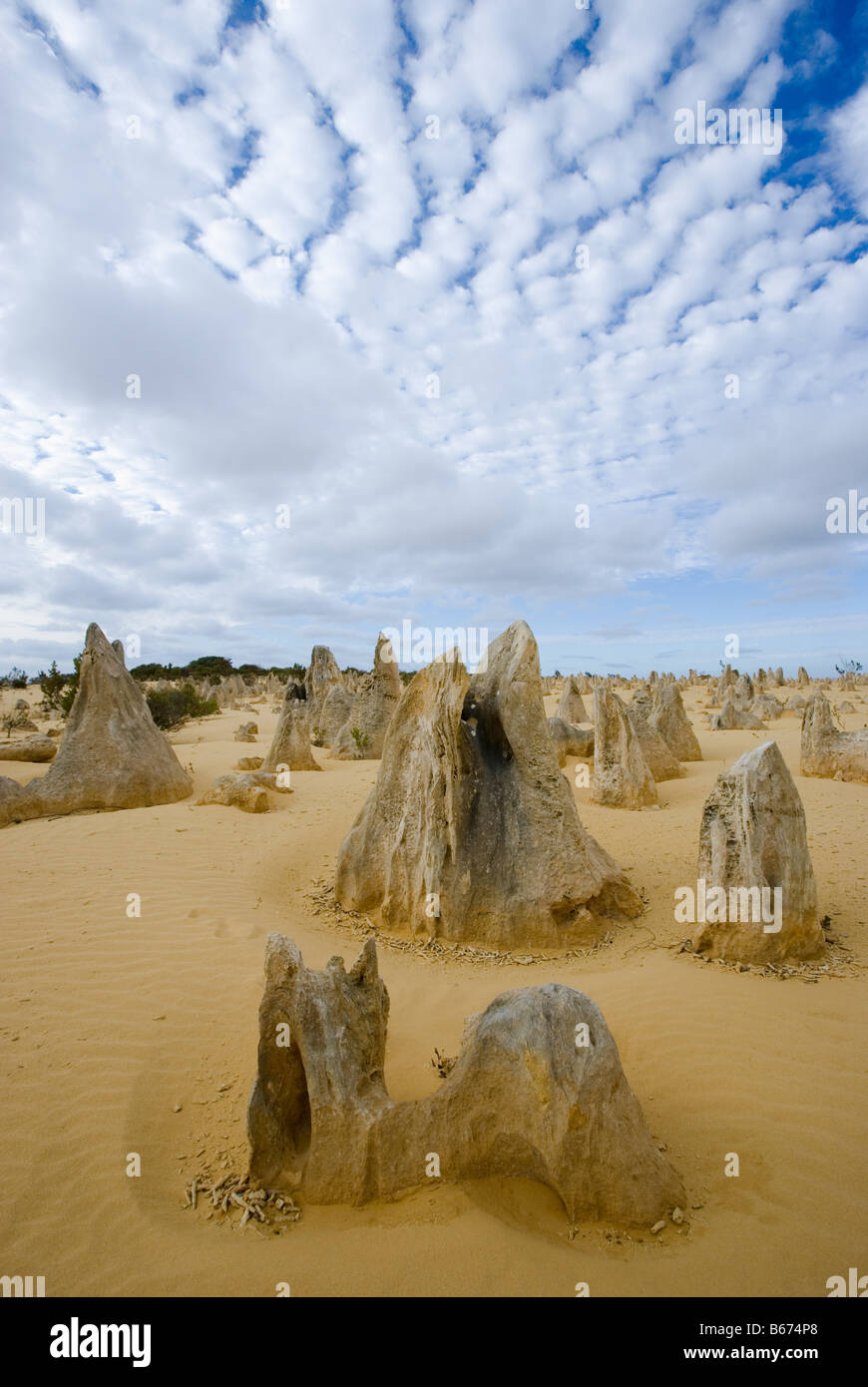 The pinnacles nambung national park perth Stock Photo - Alamy