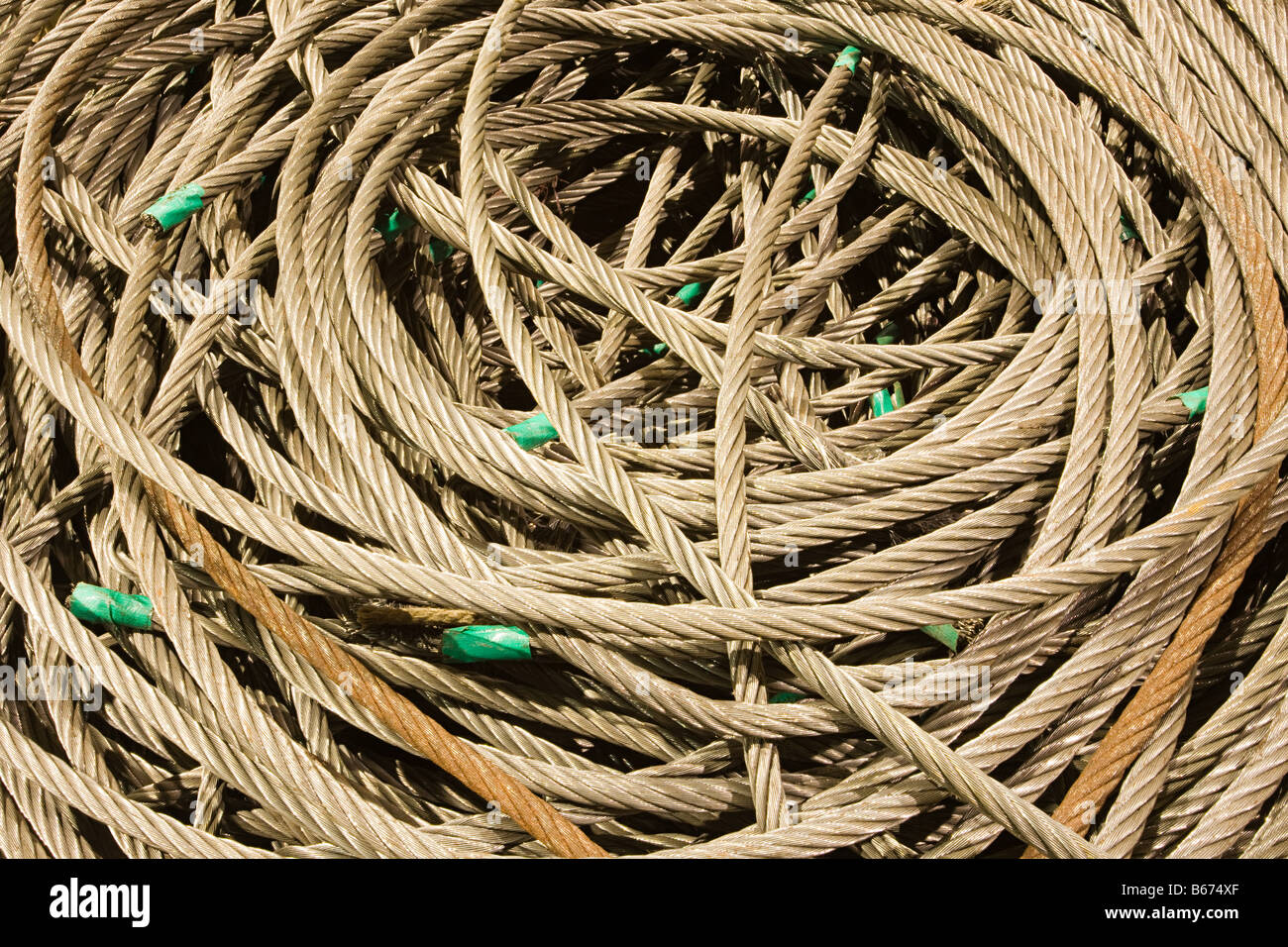 Coiled structures hi-res stock photography and images - Alamy