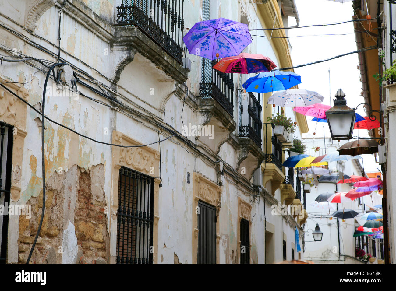 Art installation of umbrellas by local residents in a street in Cordoba ...