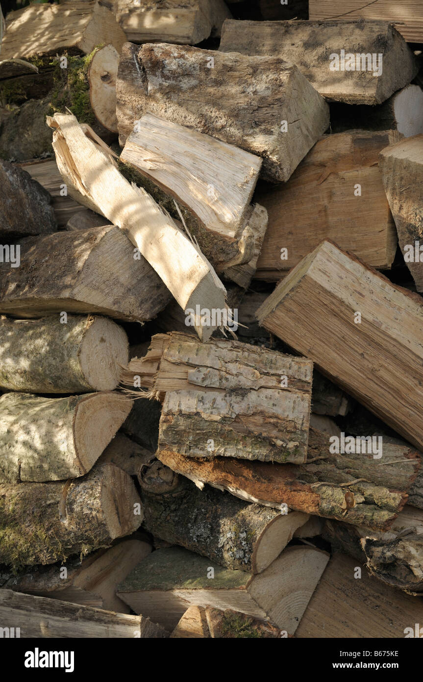 Ash wood logs hi-res stock photography and images - Alamy