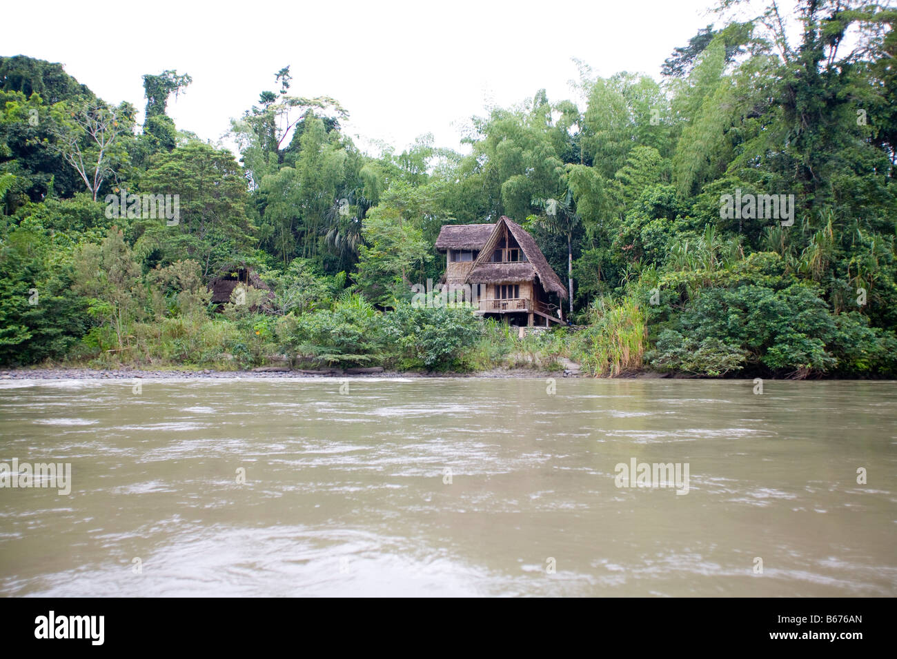 Grass rain forest rainforest green tropical vegetation horizontal hi ...