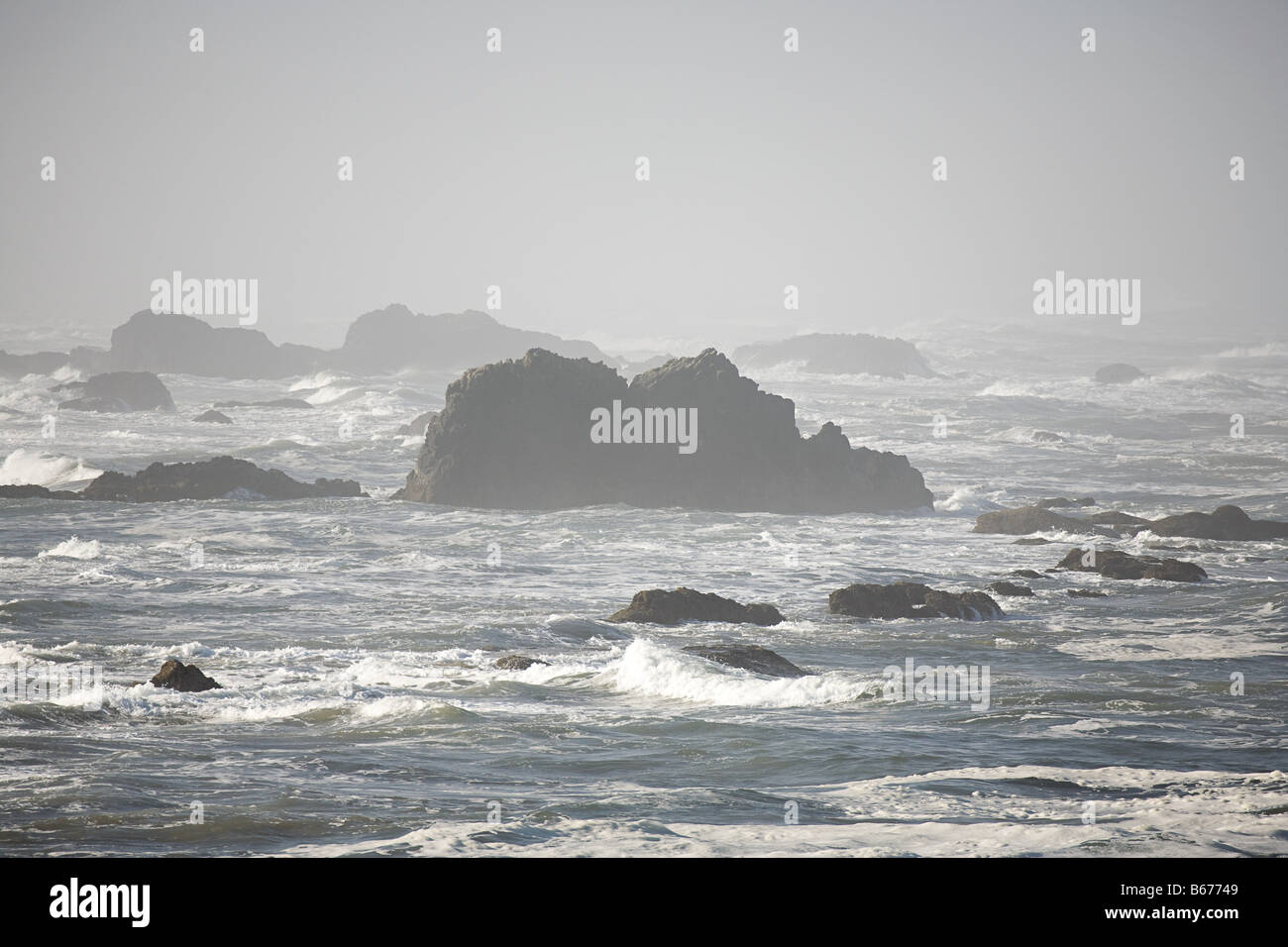 Seal Waves High Resolution Stock Photography and Images - Alamy
