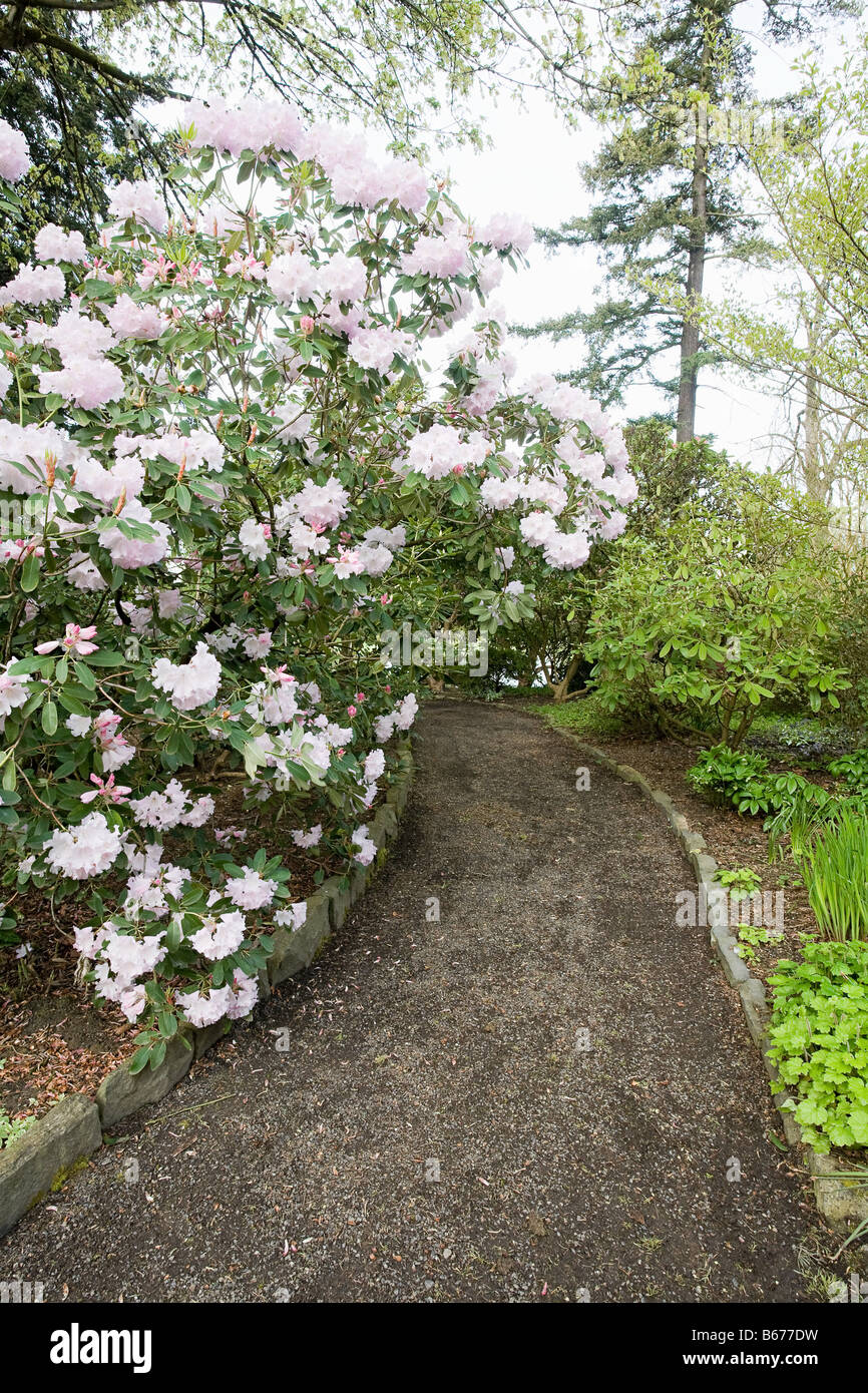 Oregon springs hi-res stock photography and images - Alamy