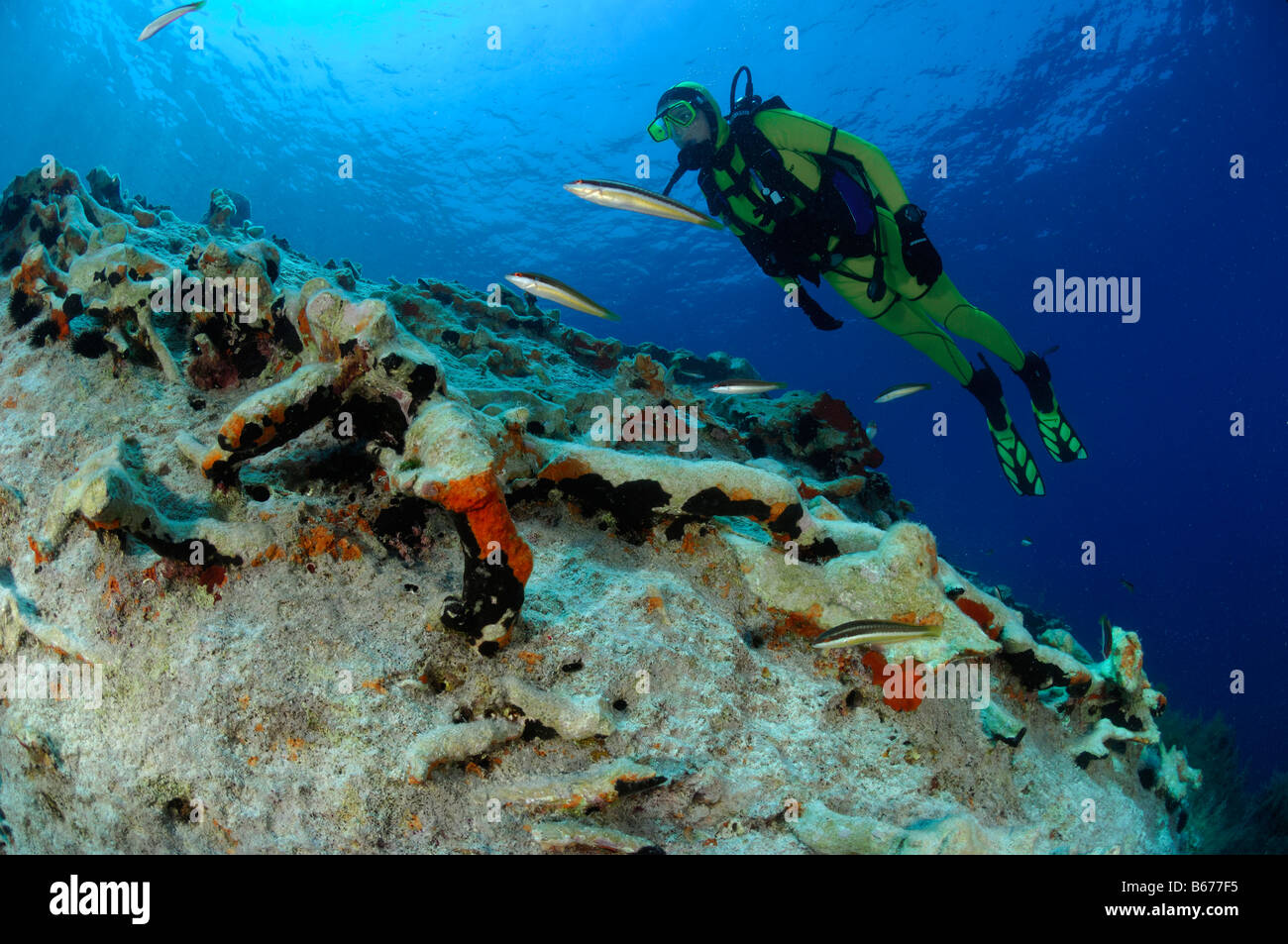 Limestone Formations in shallow Water Lastovo Island Bijelac Adriatic ...