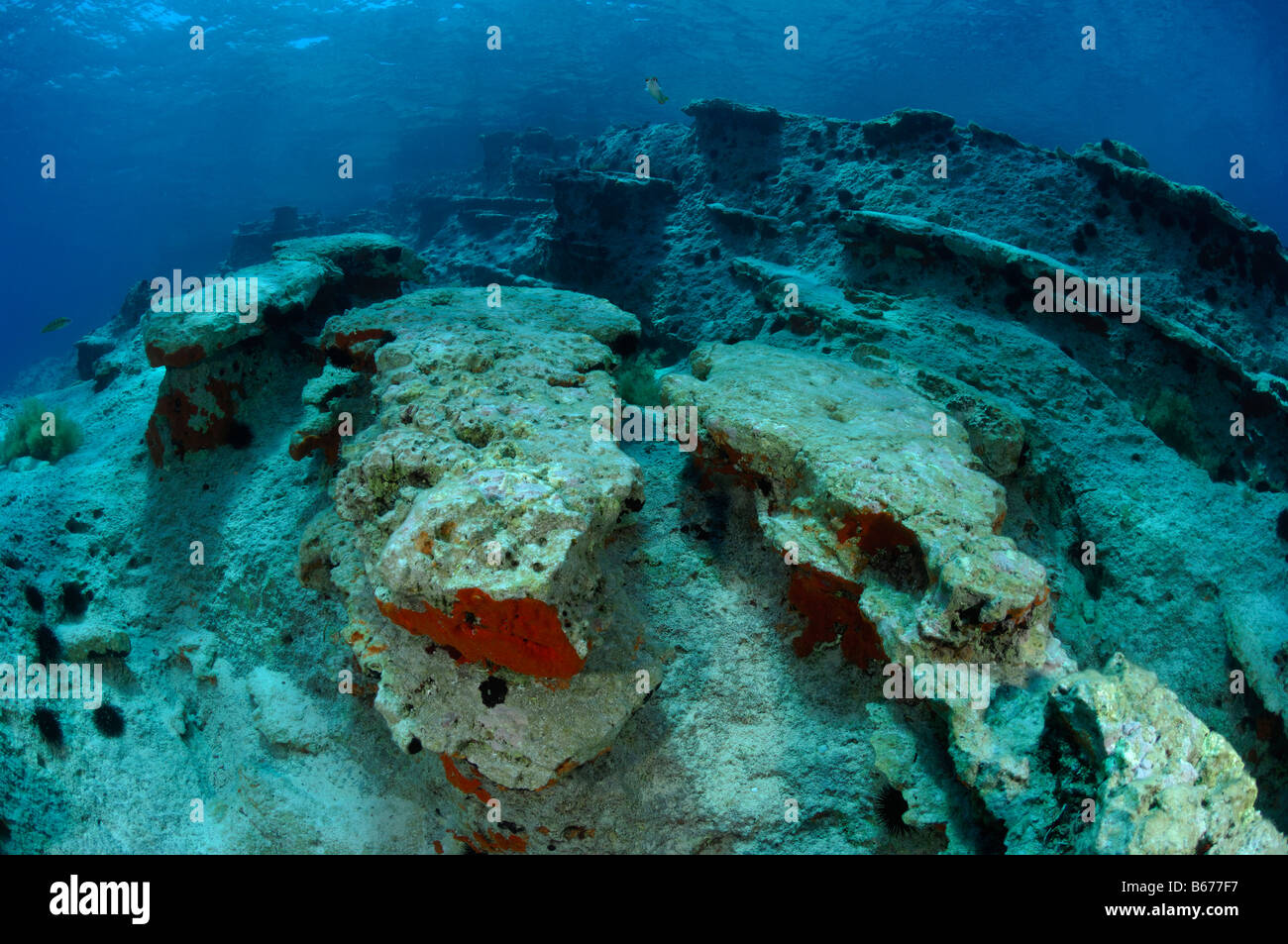 Limestone Formations in shallow Water Lastovo Island Bijelac Adriatic ...