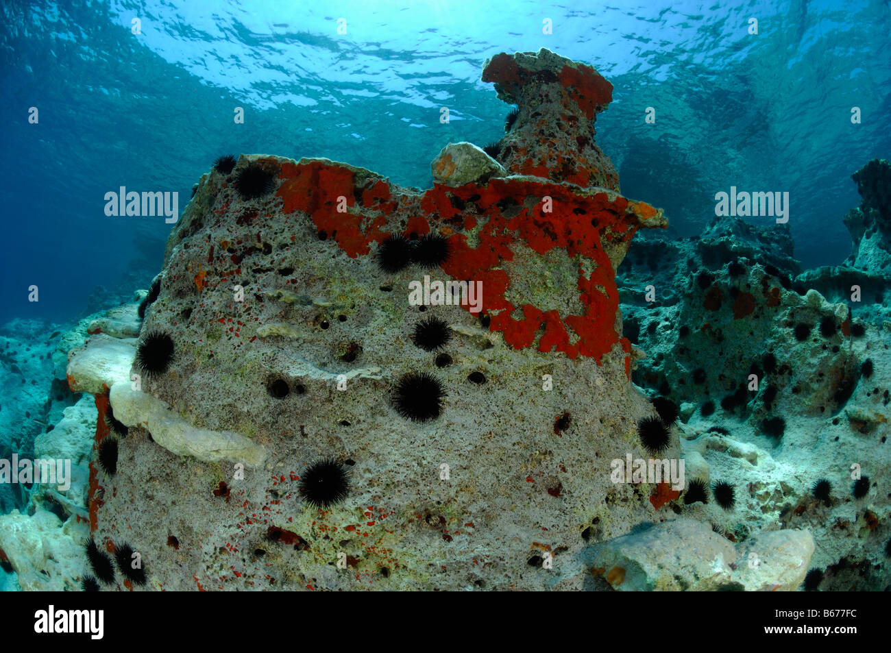 Limestone Formations in shallow Water Lastovo Island Bijelac Adriatic ...