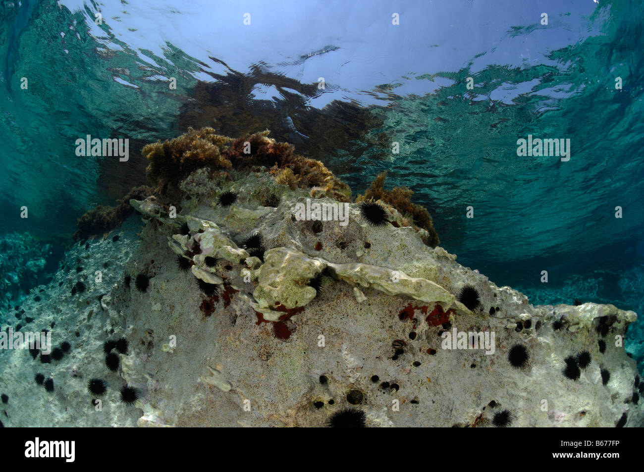 Limestone Formations in shallow Water Lastovo Island Bijelac Adriatic ...