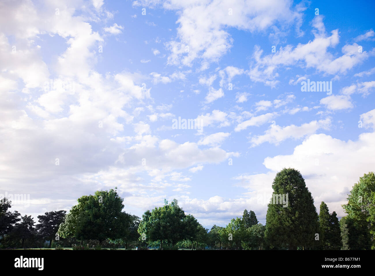 Clouds over trees hi-res stock photography and images - Alamy