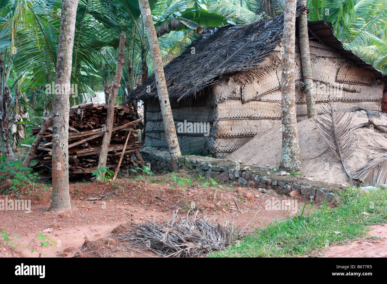 a coconut leaf woven hut Scenery with coconut trees around Stock Photo ...