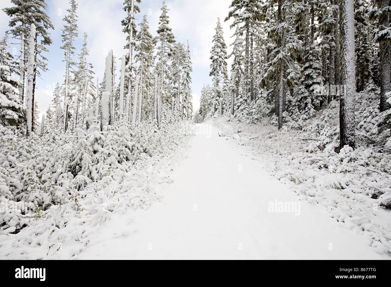 Covered hood hi-res stock photography and images - Alamy