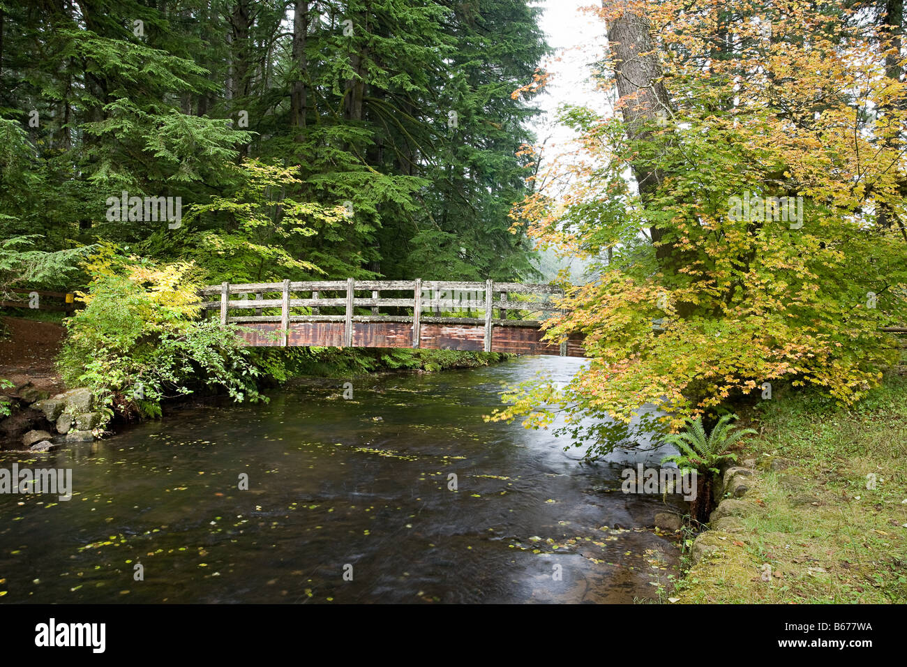 North falls in silver falls state park hi-res stock photography and ...