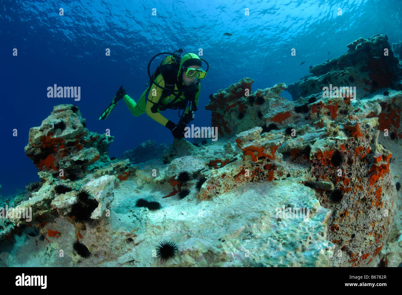 Limestone Formations in shallow Water Lastovo Island Bijelac Adriatic ...