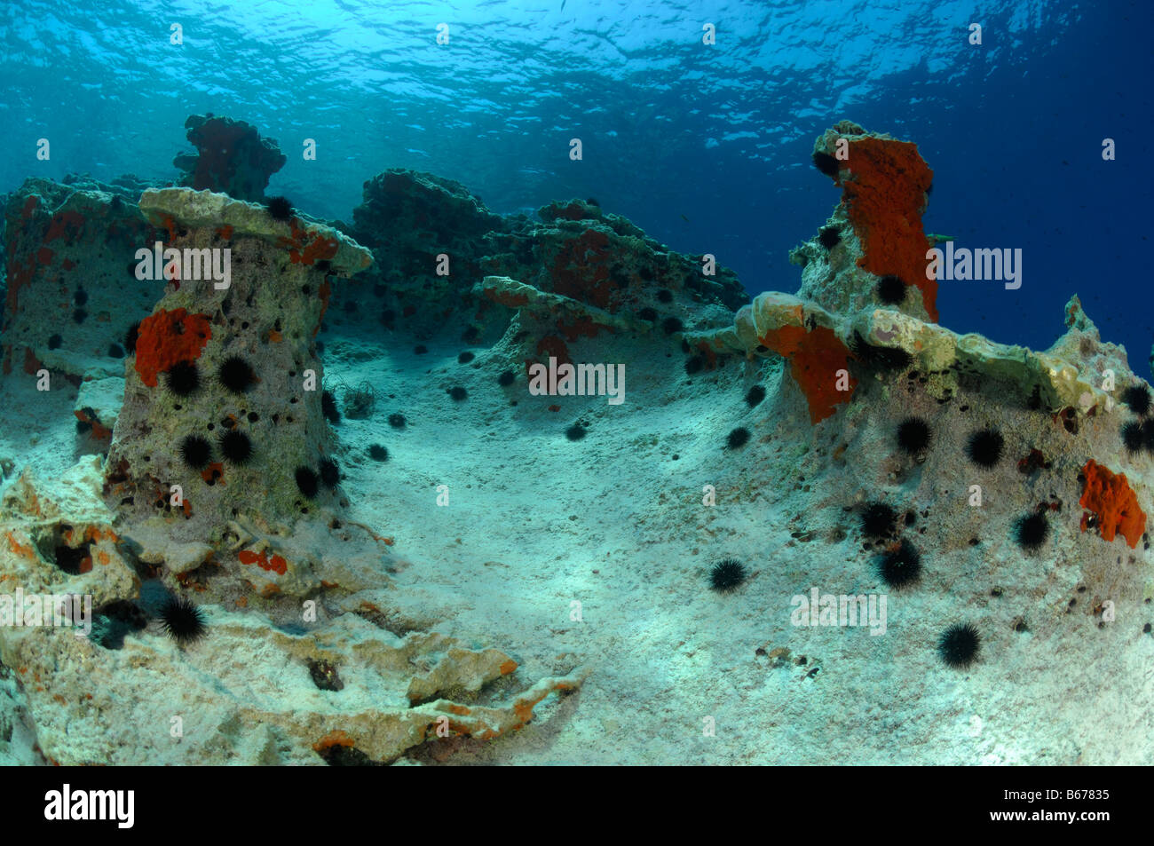 Limestone Formations in shallow Water Lastovo Island Bijelac Adriatic ...