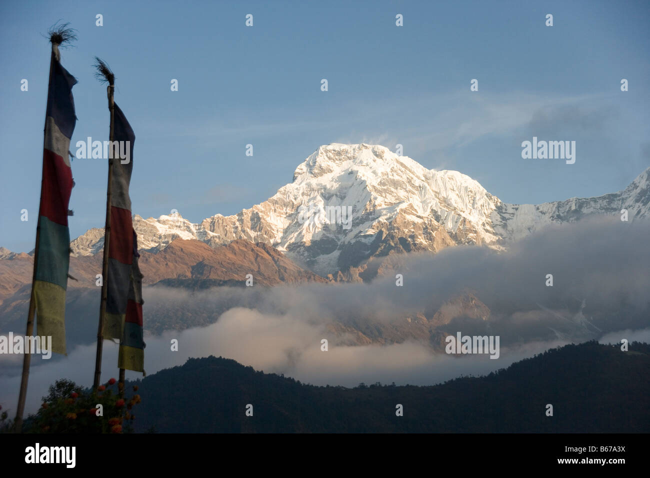 Dawn over Annapurna South Mountain from the Ker and Downey Himalaya ...