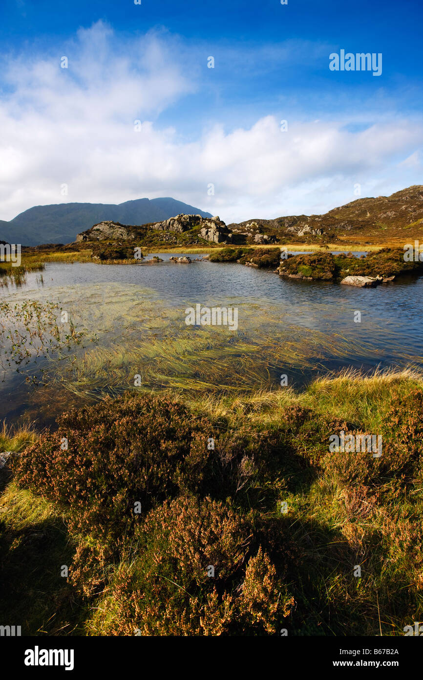 Innominate Tarn On Haystacks Summit High Above Buttermere, 'The Lake ...
