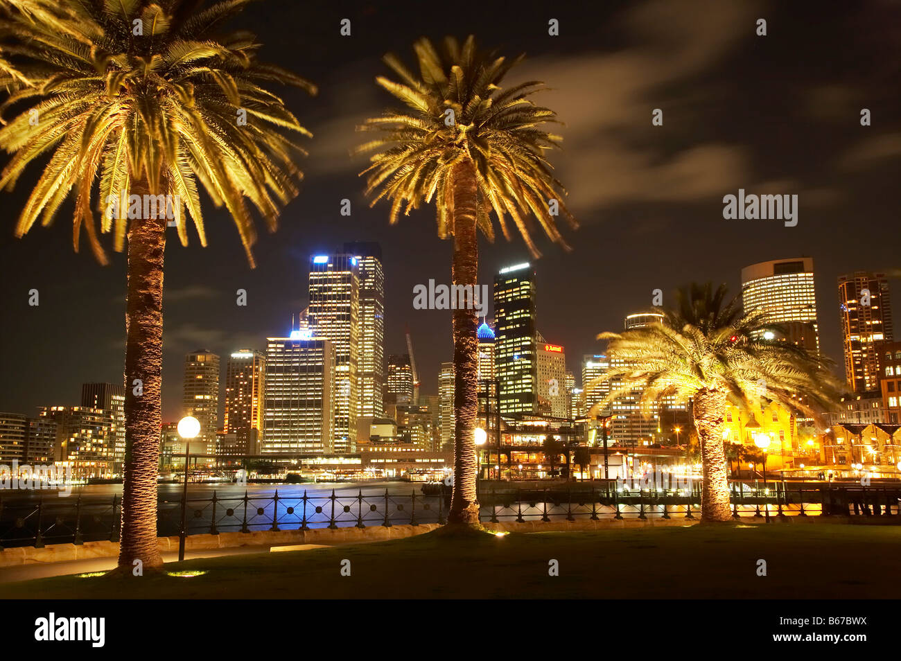 Night waterfront with palm tree hi-res stock photography and images - Alamy