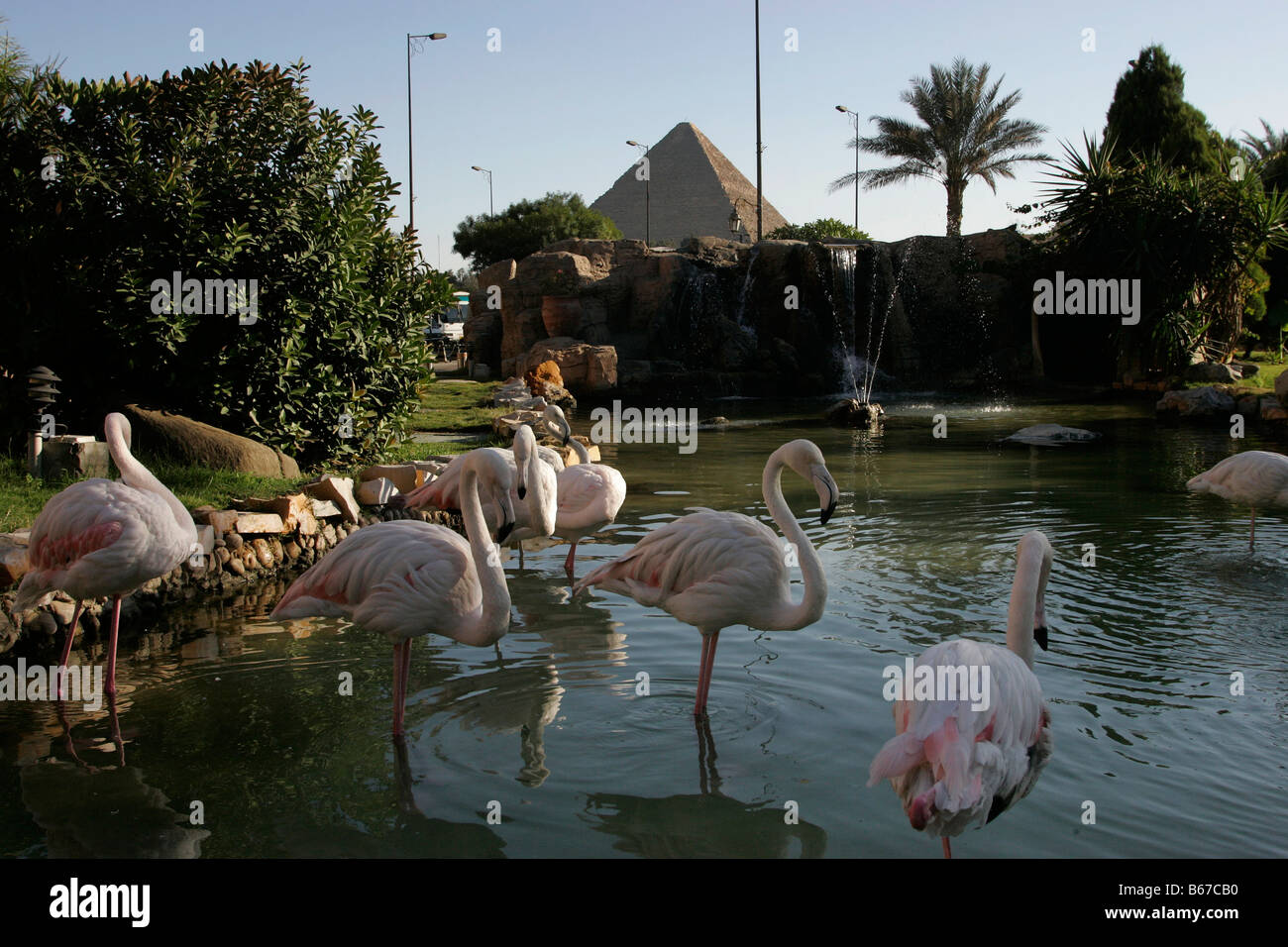 The view of the pond and Great Pyramid from the front of Le Meridien ...