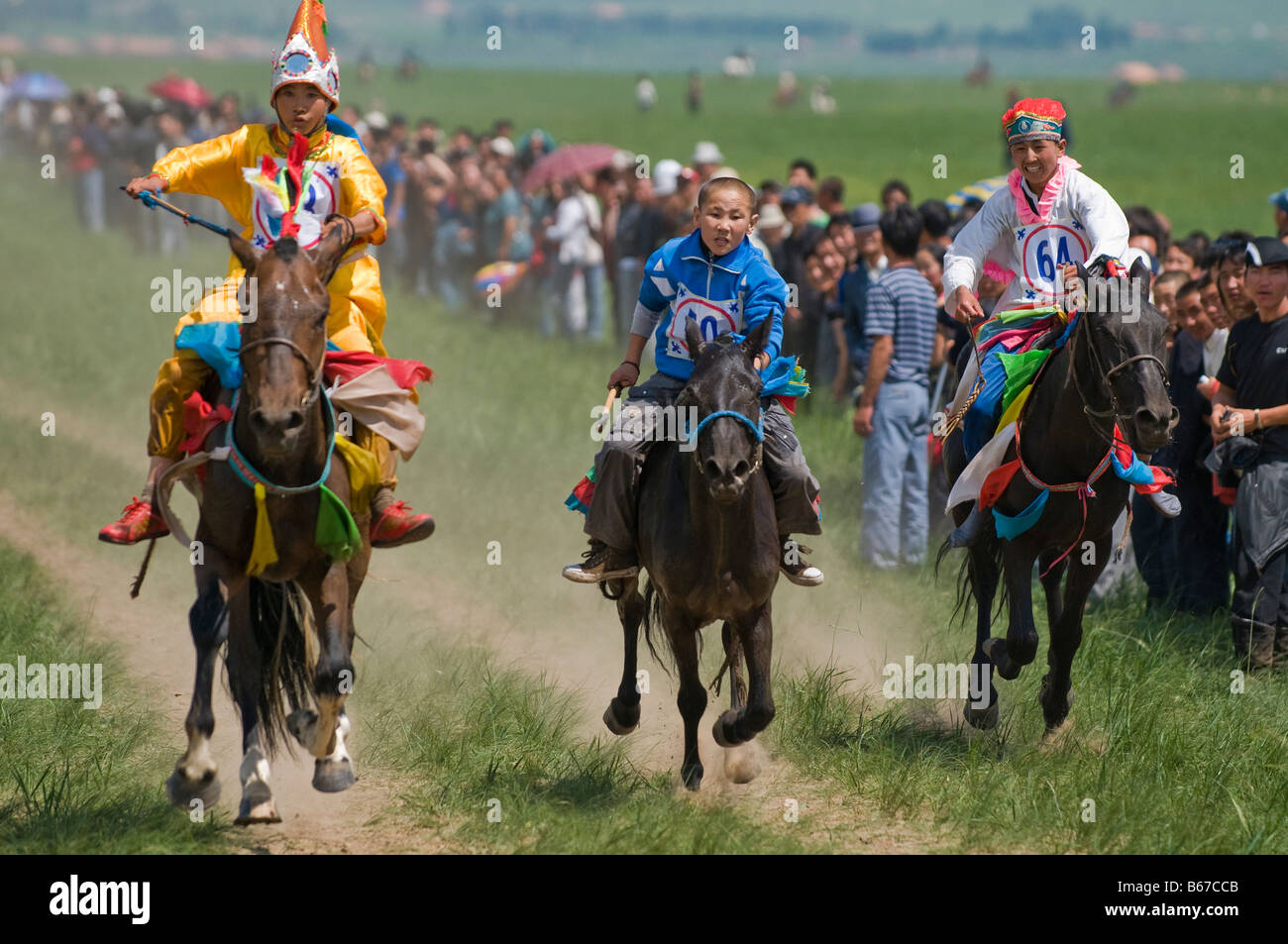 Mongolian horse horses minority hi-res stock photography and images - Alamy