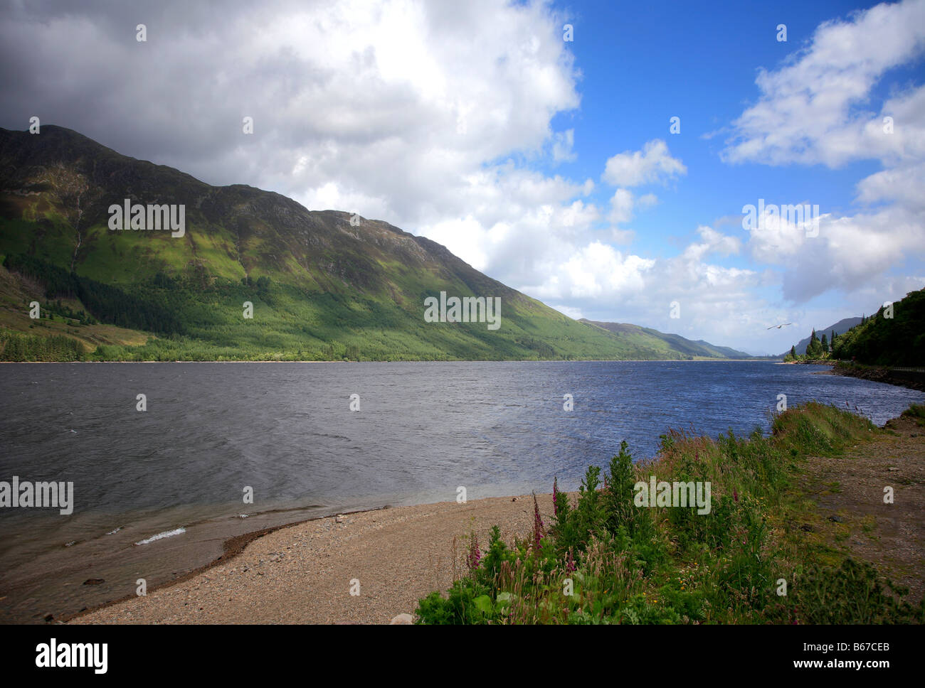 Loch Lochy Summer High Resolution Stock Photography and Images - Alamy