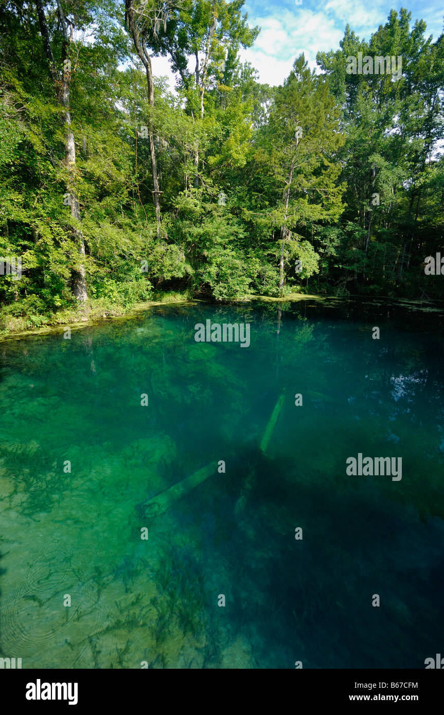 Horn spring North Florida Stock Photo - Alamy