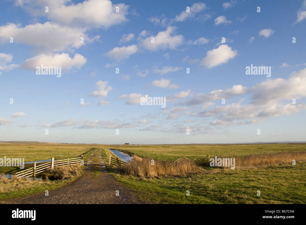 Elmley Marsh Nature Reserve Sheppey Kent UK Stock Photo - Alamy