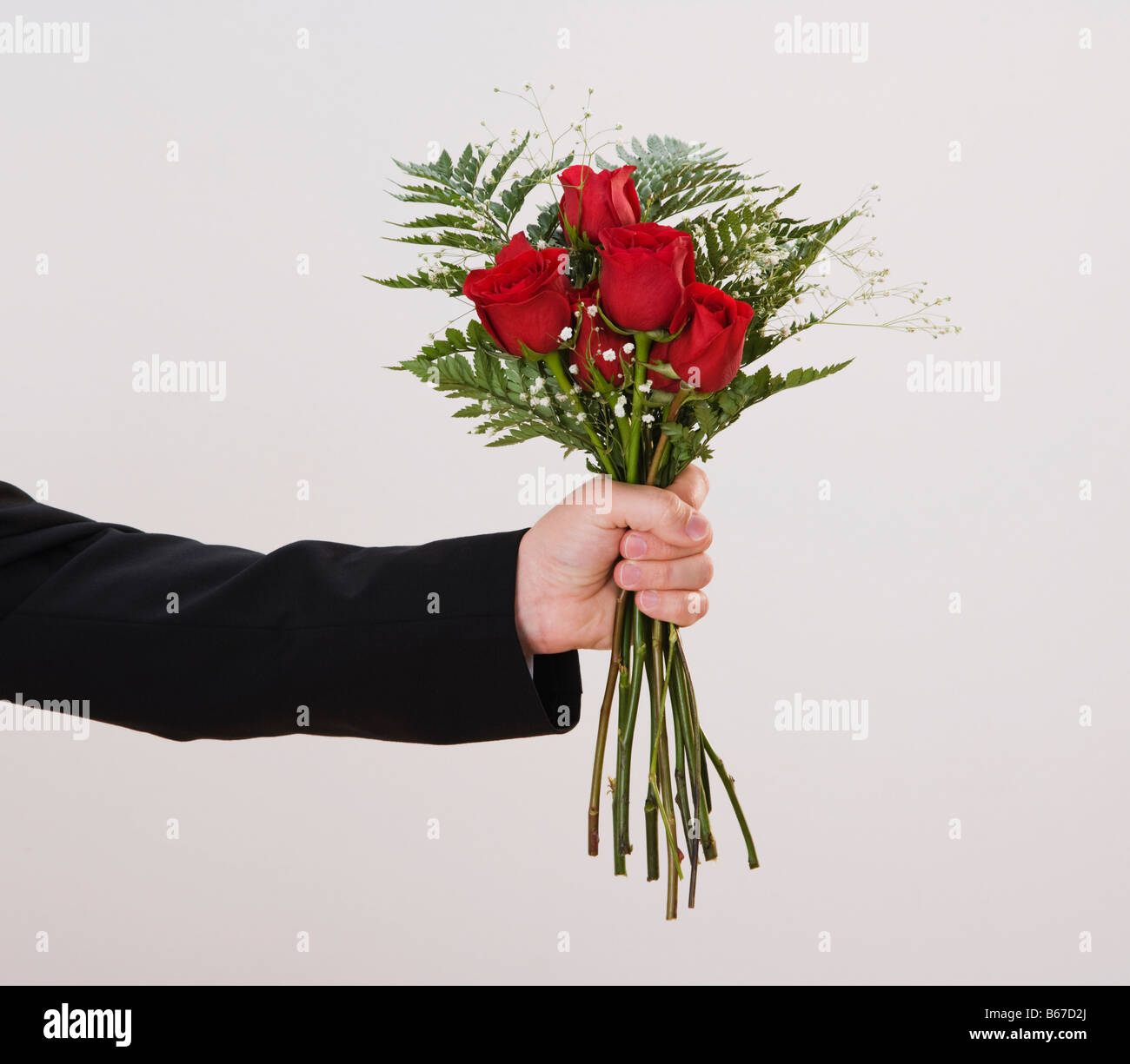 Man's hand holding bunch of red roses Stock Photo - Alamy
