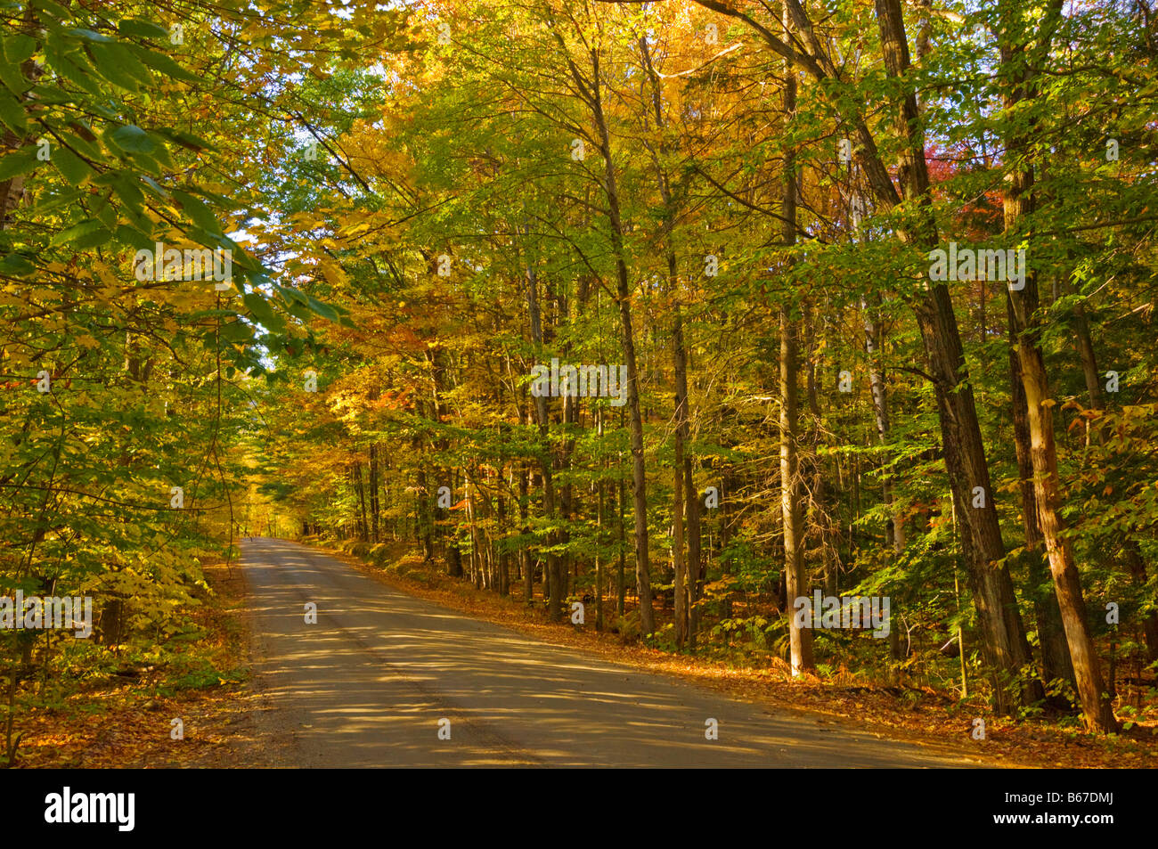 Back country road near Peru Vermont USA United States of America Stock ...