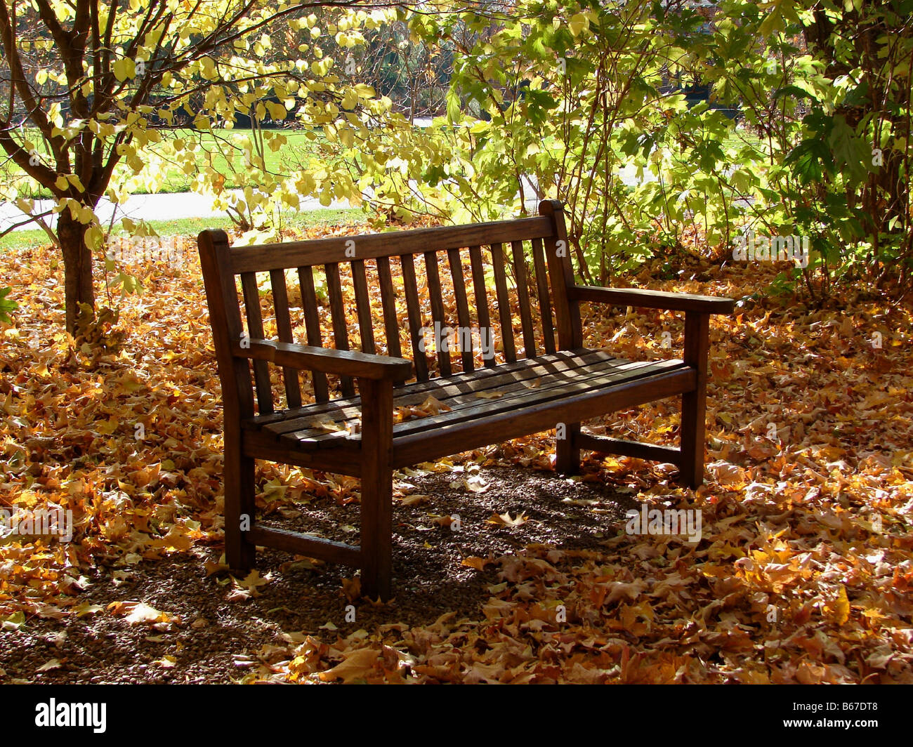 Park Bench with Autumn Leaves Stock Photo - Alamy