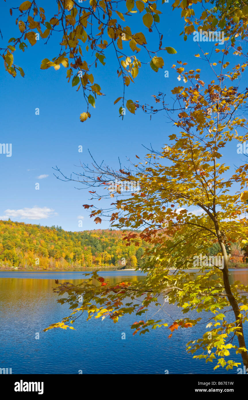 Echo Lake autumn colours Camp Plymouth State Park Vermont USA United ...