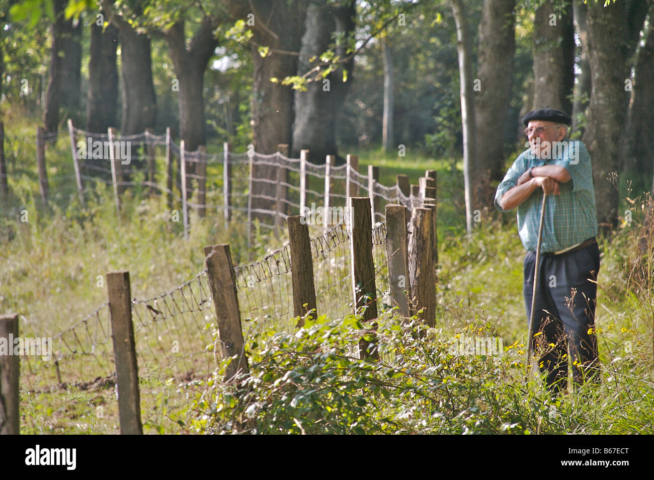 Man basque hi-res stock photography and images - Alamy