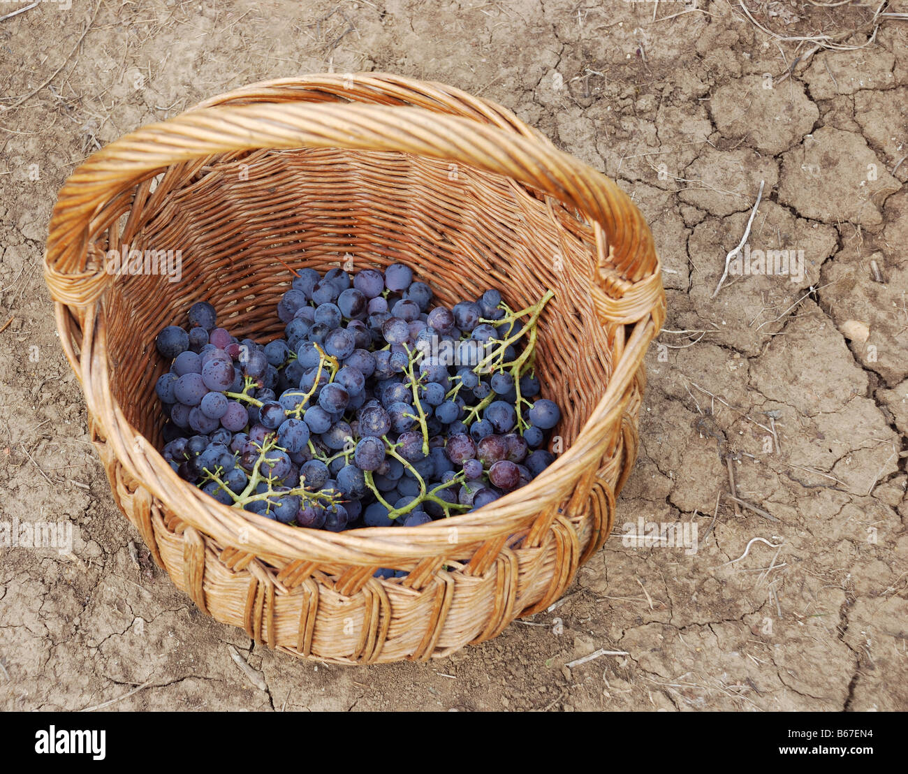 Red earth ground hi-res stock photography and images - Alamy