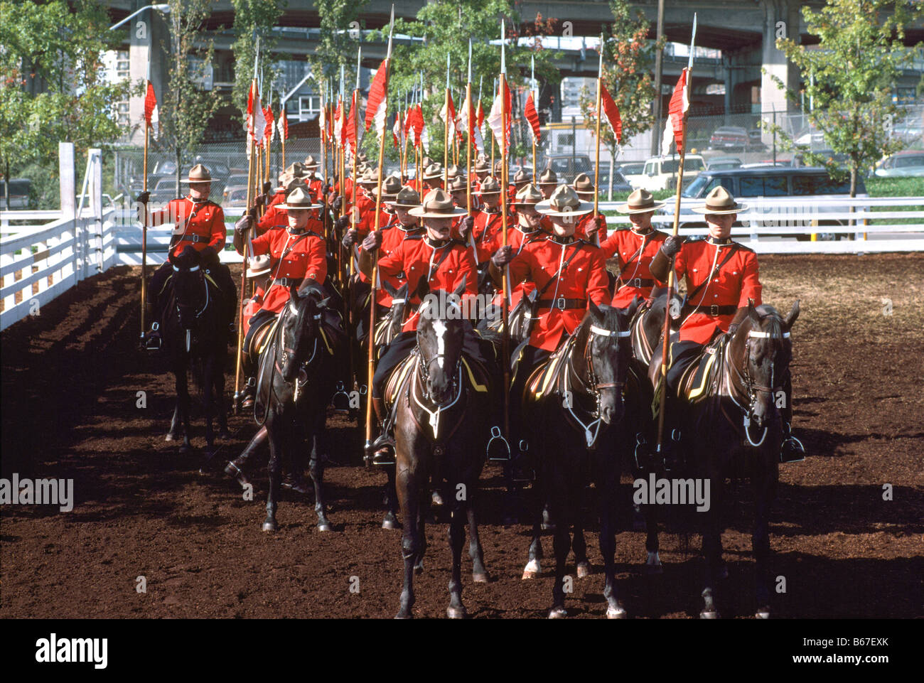 Royal canadian mounted police horse in musical ride hi-res stock ...