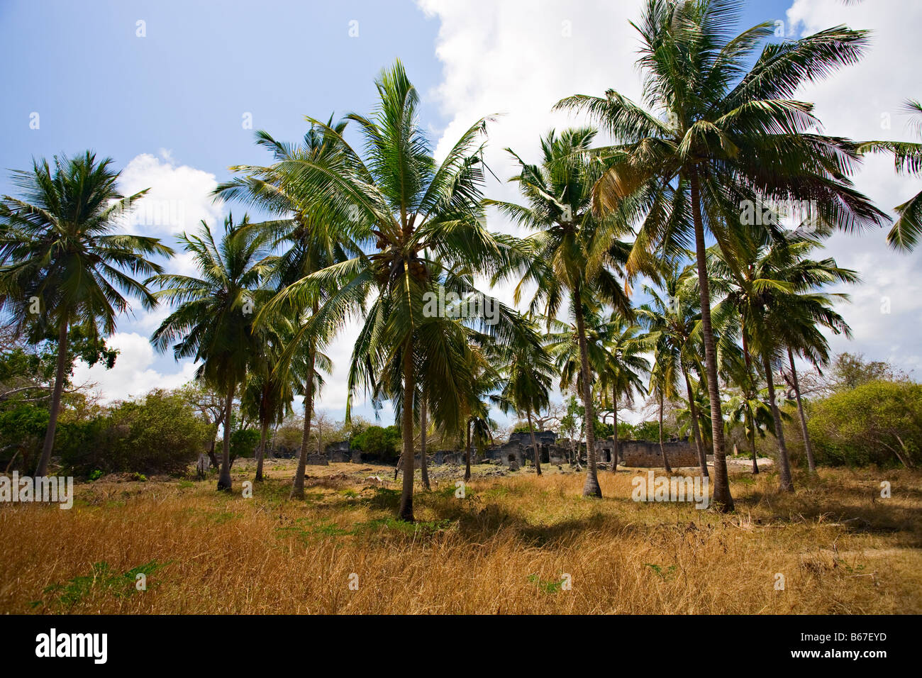 Songo Mnara Ruins, Tanzania, Africa, UNESCO site Stock Photo - Alamy