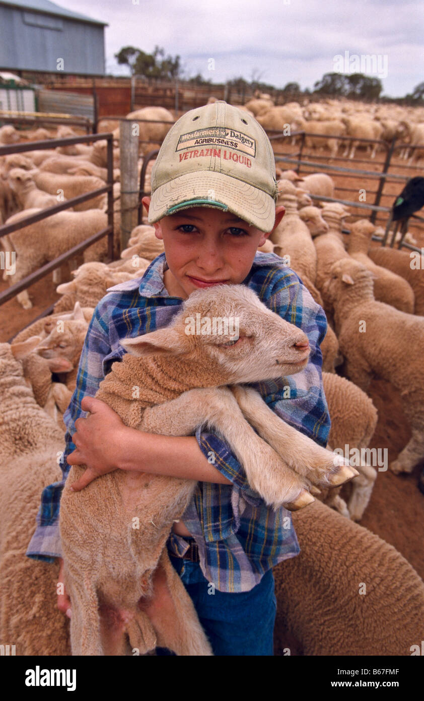 Boy with lamb, outback Australia Stock Photo - Alamy
