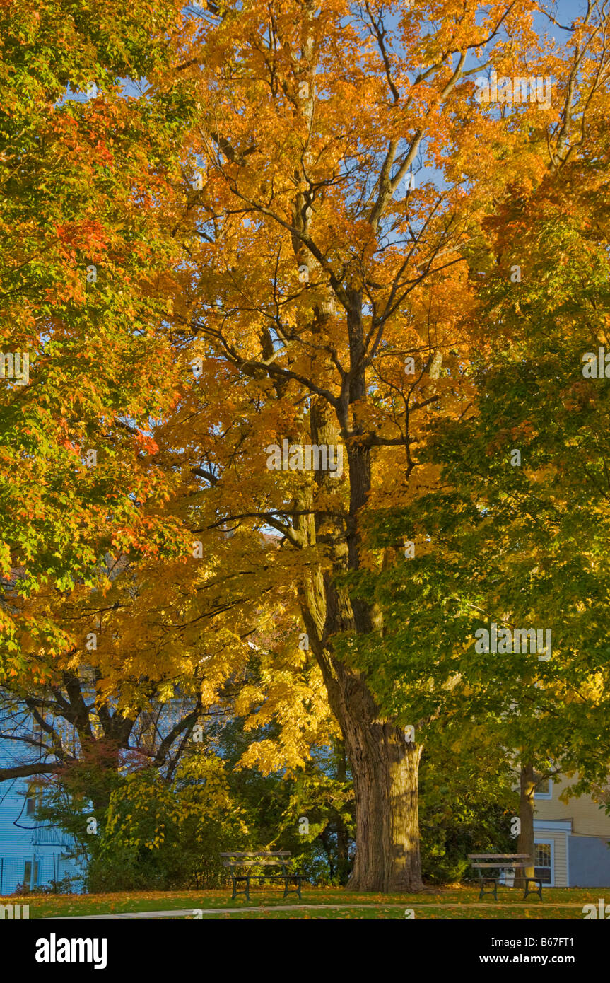 Manchester united colours hi-res stock photography and images - Alamy