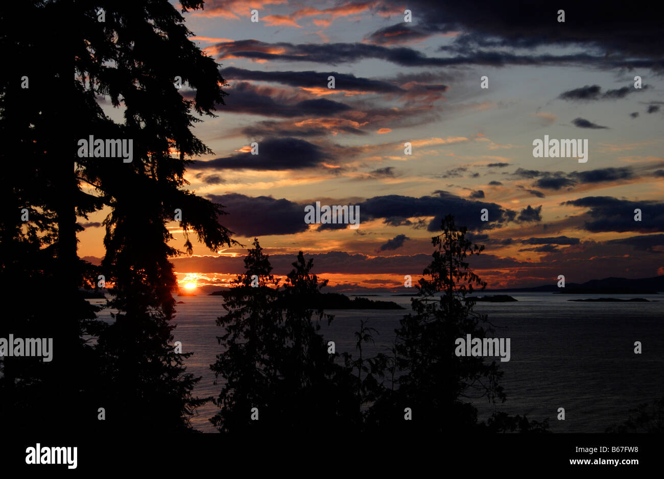 Winchelsea Islands dramatic sunset through conifers at north Nanaimo ...