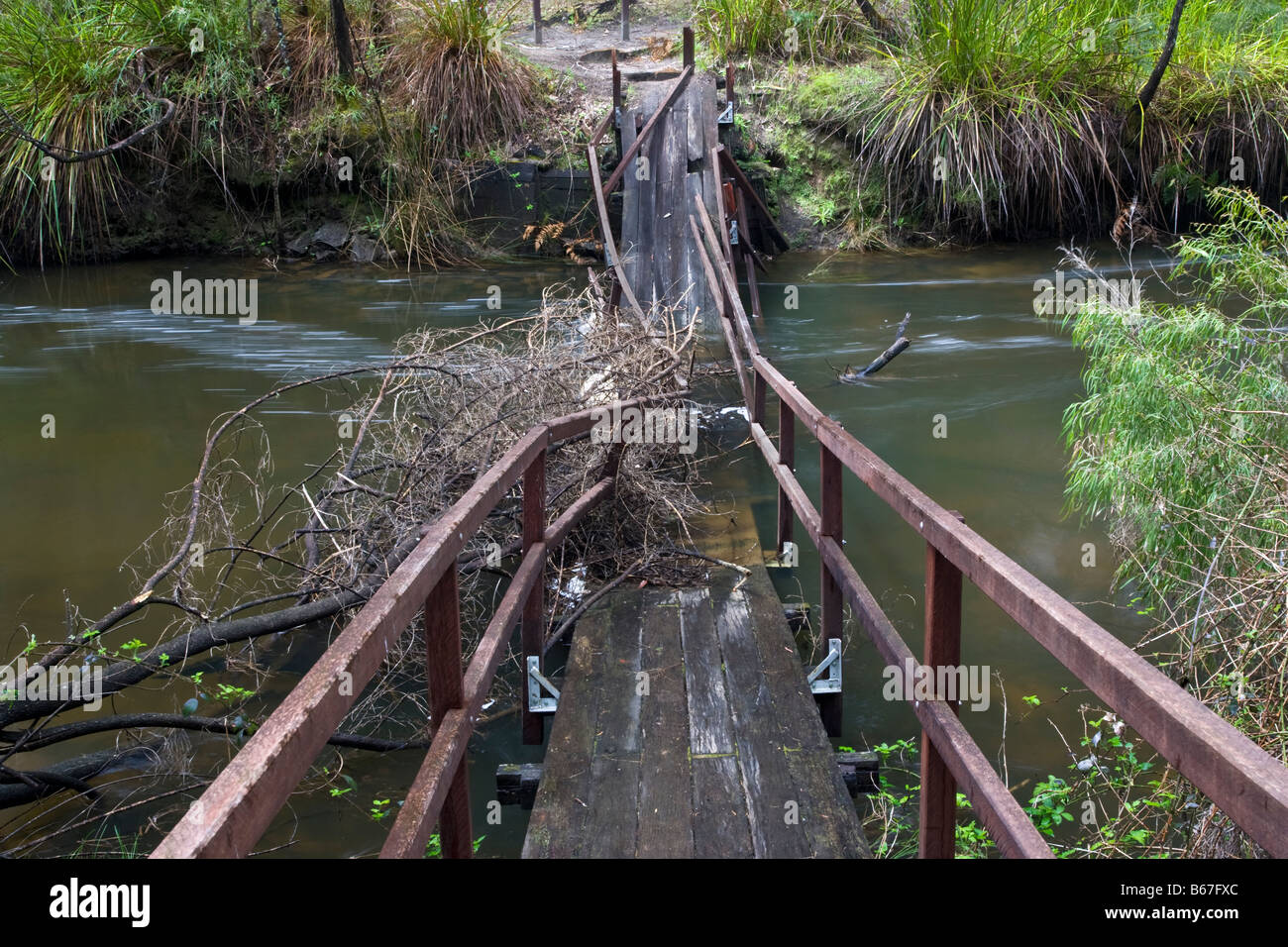A broken footbridge (due to flooding) crossing Lefroy Brook in ...
