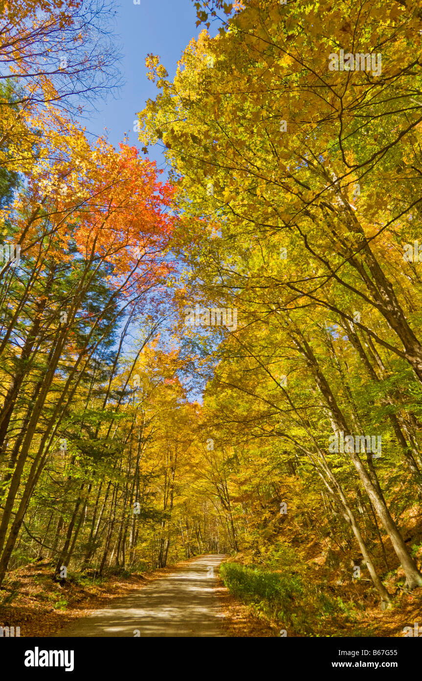 Back country byway hi-res stock photography and images - Alamy