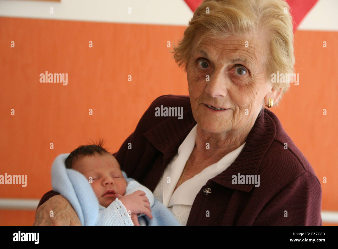 Geneology hi-res stock photography and images - Alamy