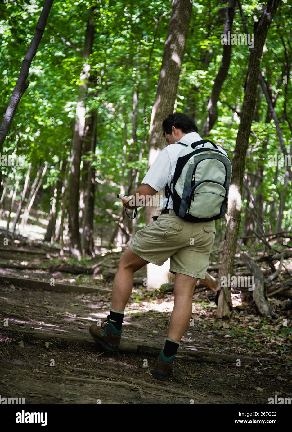 Man using gps navigation in forest, rear view Stock Photo - Alamy