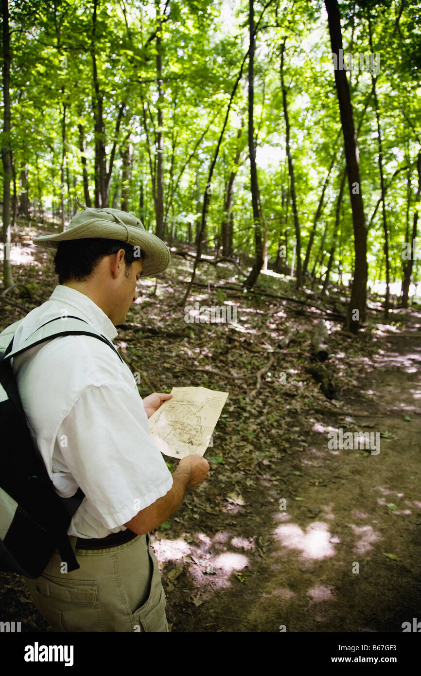 Man looking at map in forest Stock Photo - Alamy