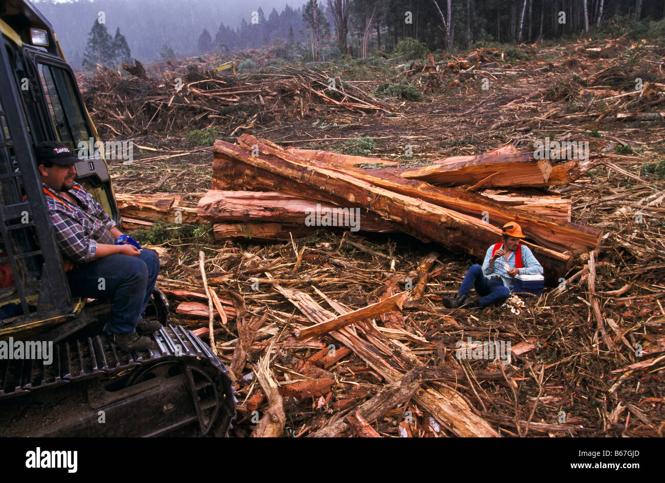 Men logging hi-res stock photography and images - Alamy