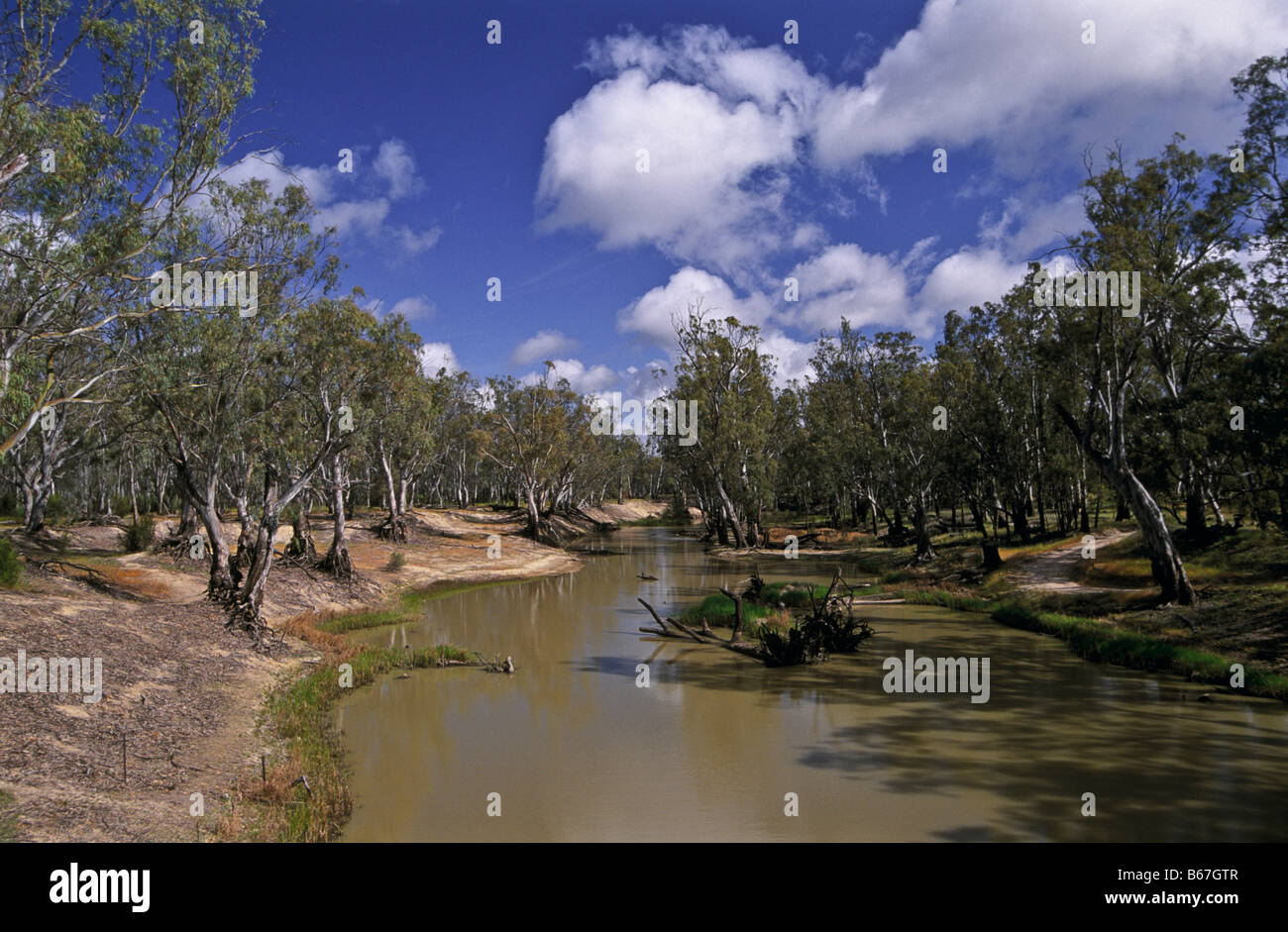 River, outback Australia Stock Photo - Alamy