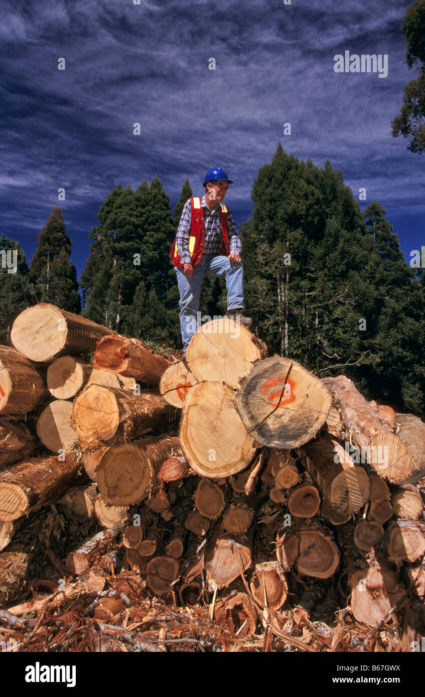 Logging coupes hi-res stock photography and images - Alamy