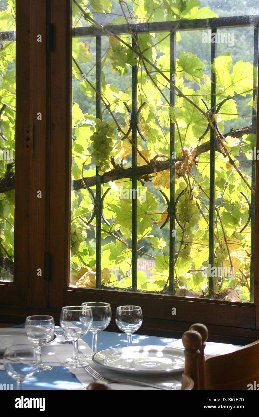 Table next to window with vines Stock Photo - Alamy